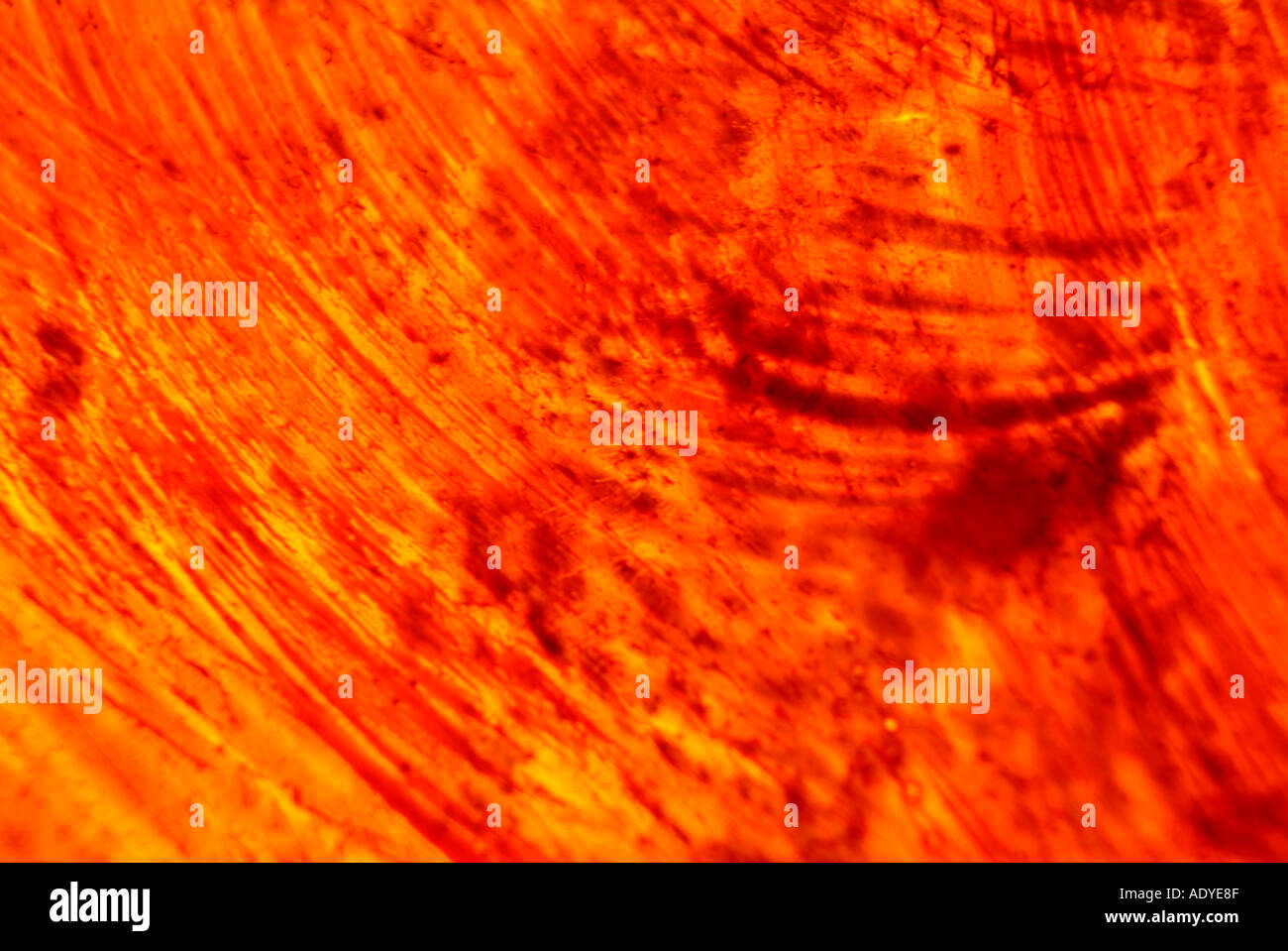 Backgrounds I fiery flames flaming hot tongue glowing whirl blazing ...