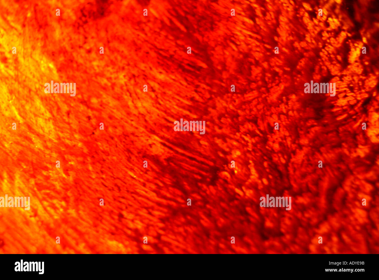 Backgrounds I fiery flames flaming hot tongue glowing blazing scorching ...