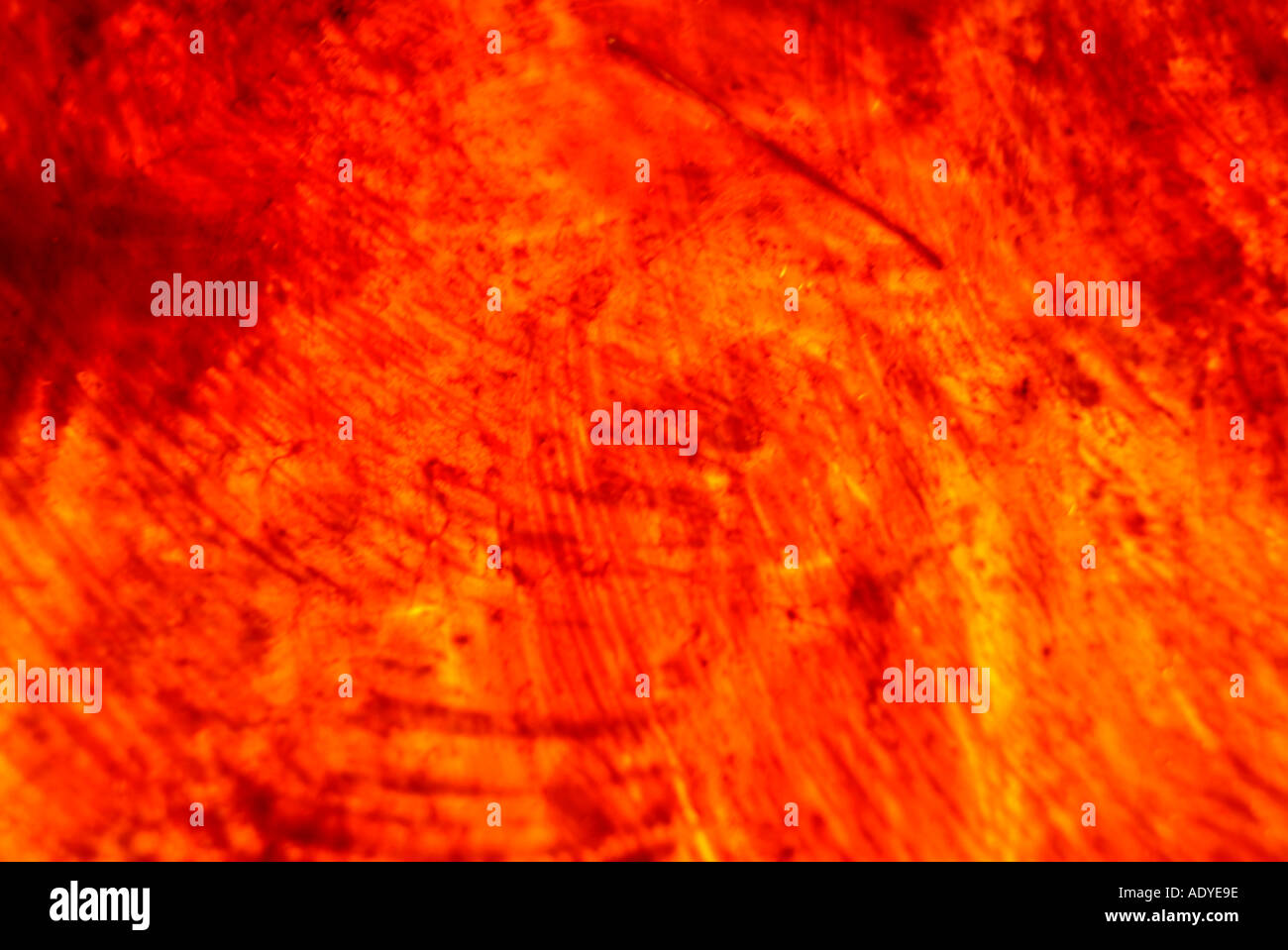 Wd10089 hi-res stock photography and images - Alamy