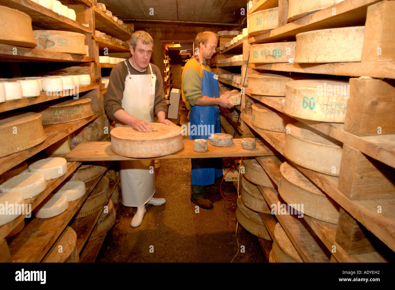 Cheesemaker hi-res stock photography and images - Alamy