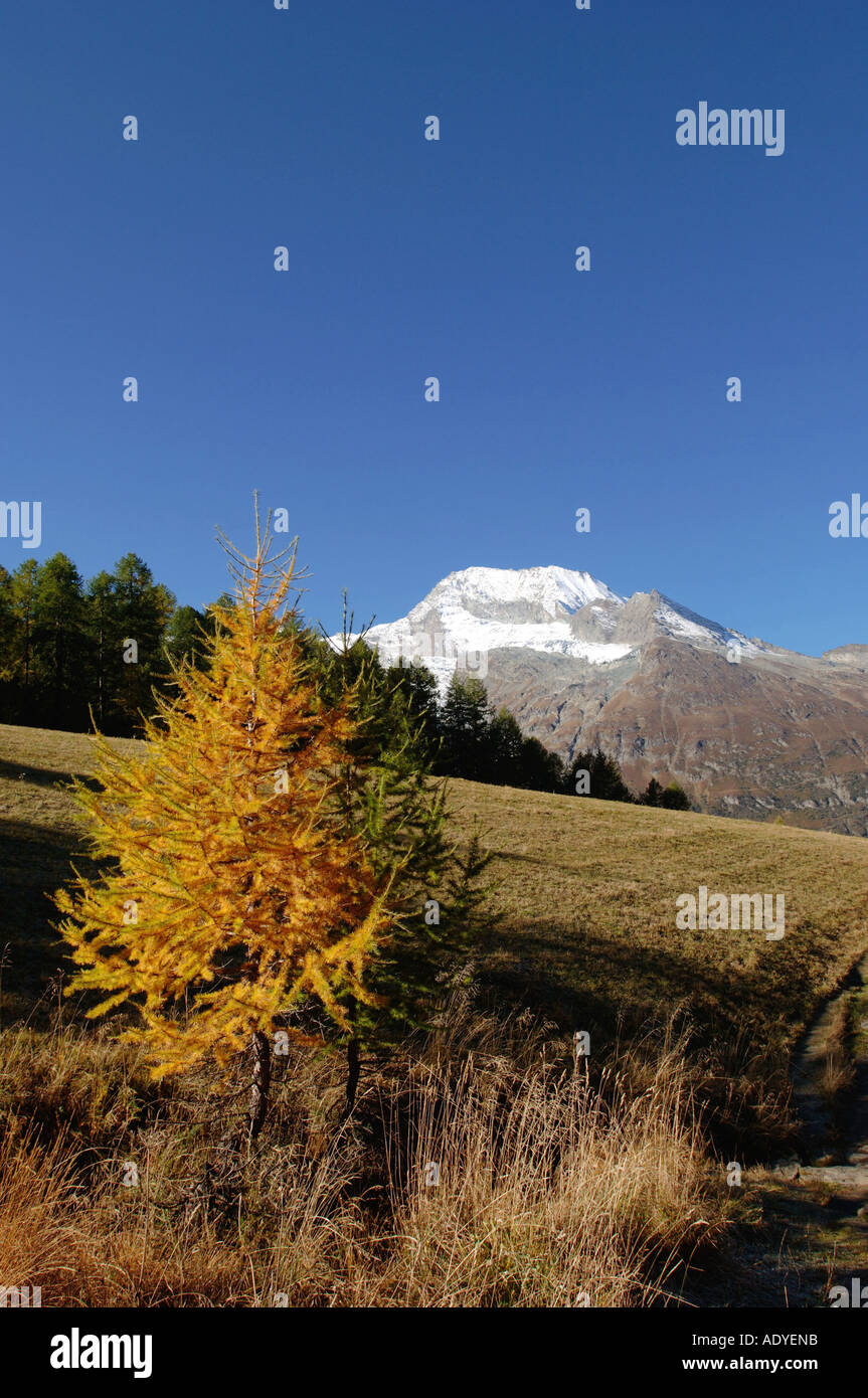 Mont pourri vanoise national park hi-res stock photography and images ...