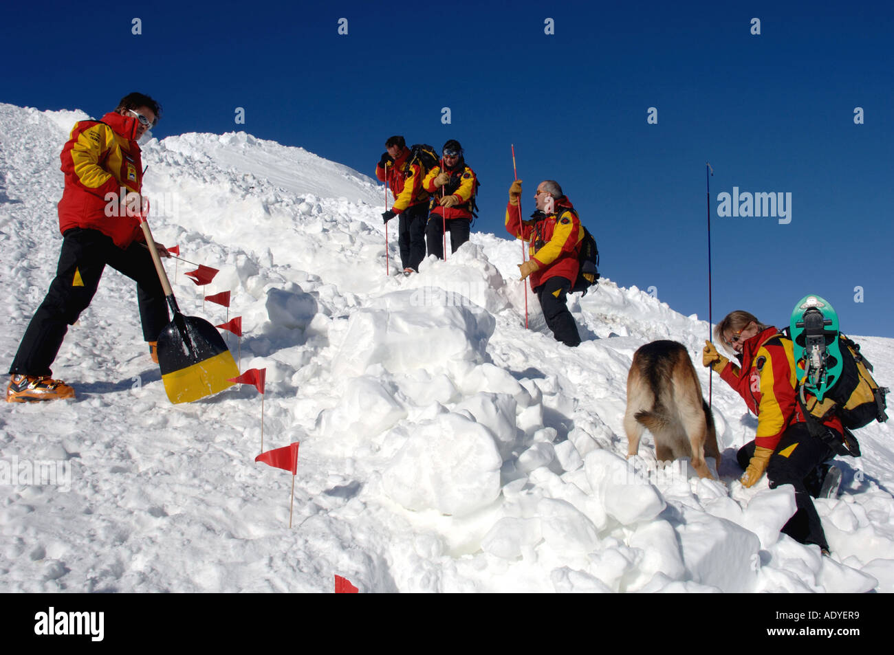 Avalanche victims hi-res stock photography and images - Alamy