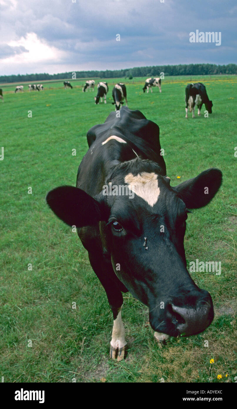 Different angle portraits hi-res stock photography and images - Alamy