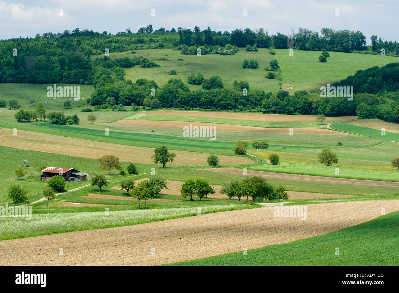 Southern Alsatian field landscape, eastern France Stock Photo - Alamy