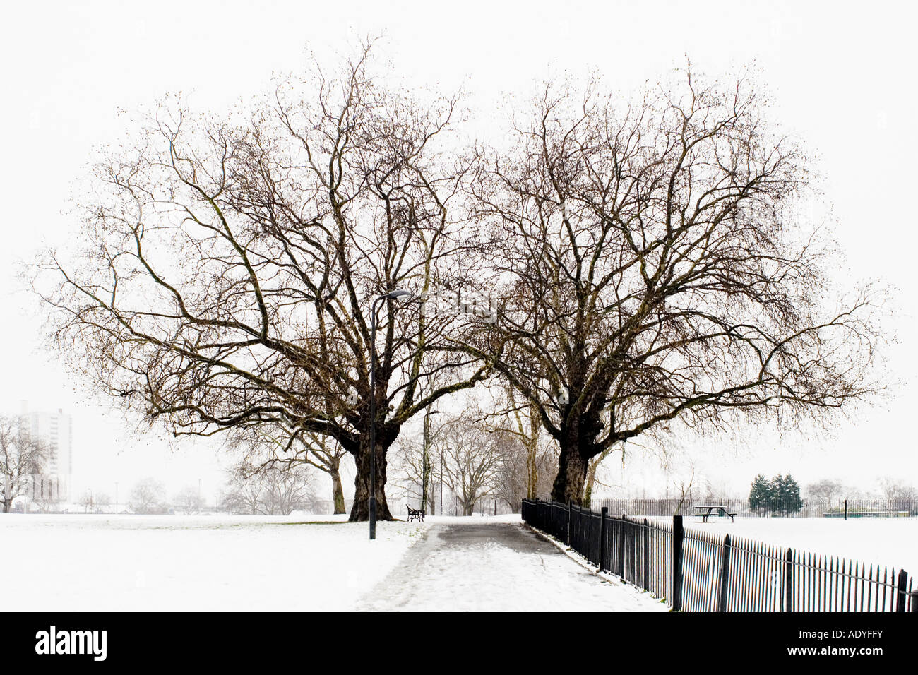 Hackney Downs in snow East London Stock Photo - Alamy