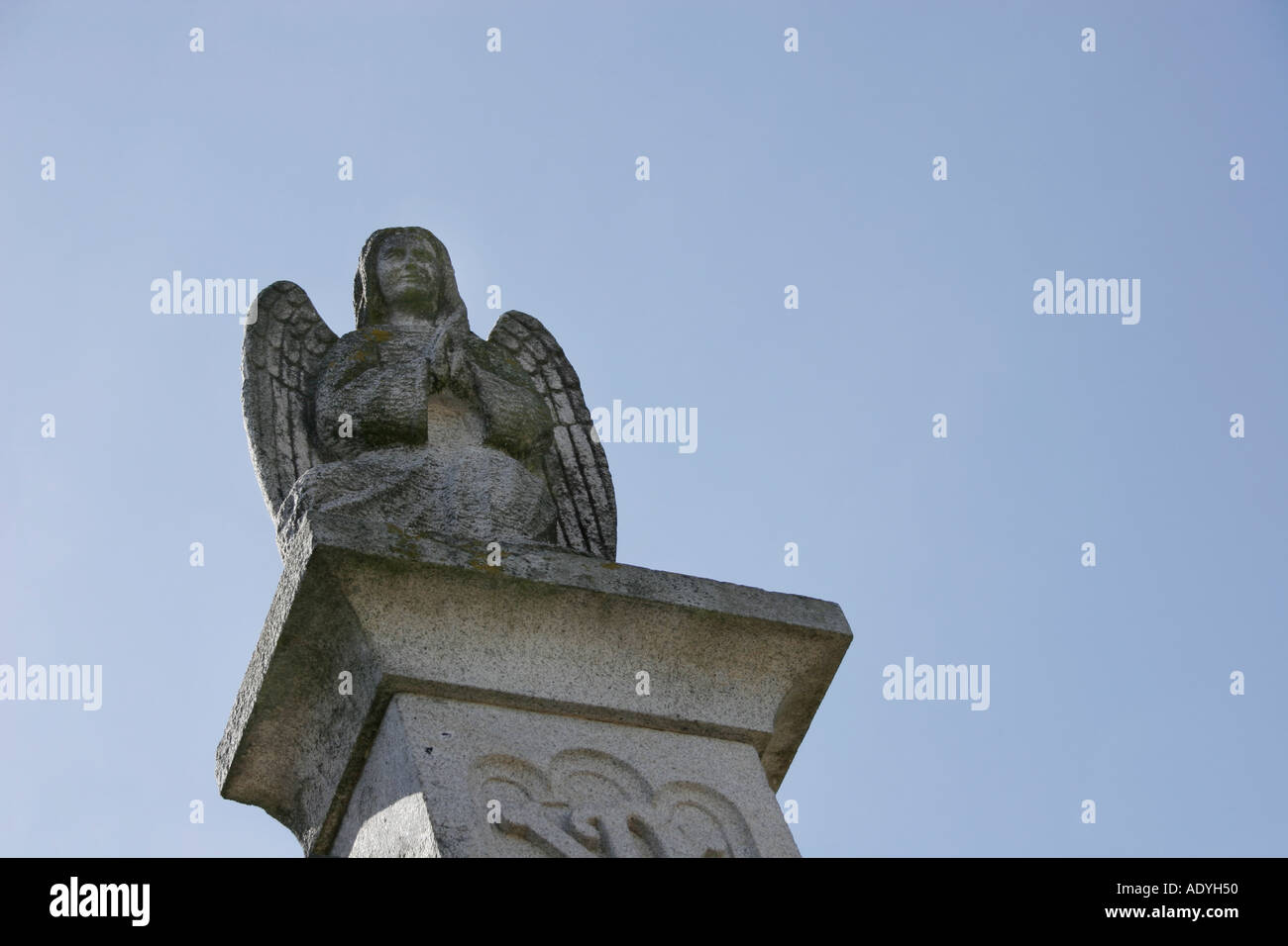Statue of stone angel looking from below blue sky background Stock ...