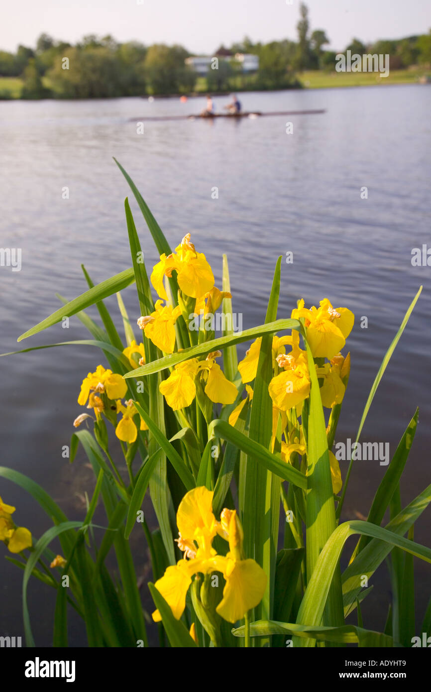 Rowing boat on the lake at Danson Park Bexley with Danson House in ...