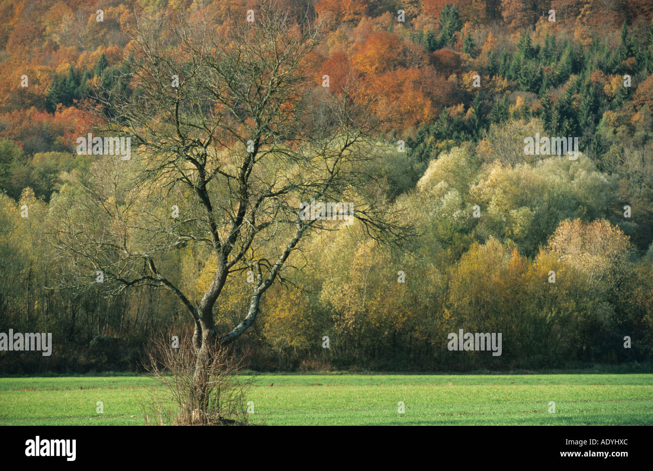 Naturalistic colors hi-res stock photography and images - Alamy