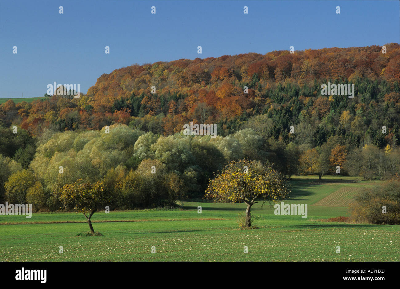 Naturalistic colors hi-res stock photography and images - Alamy