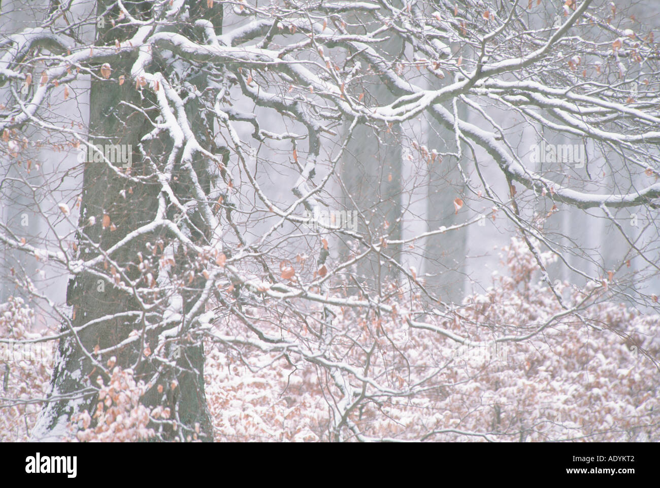 Kellerwald mountain range hi-res stock photography and images - Alamy