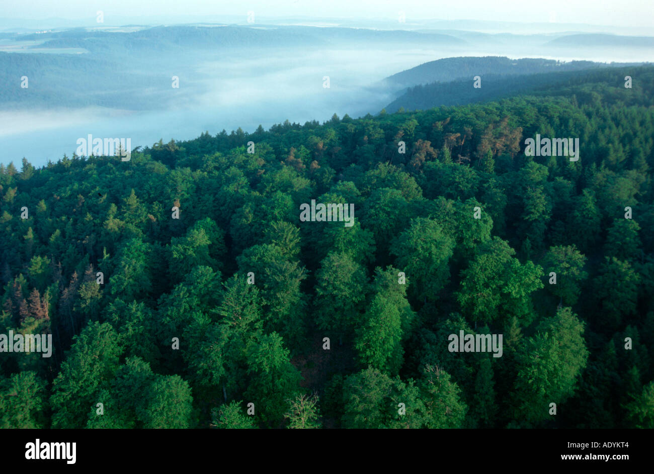 Panorama in the kellerwald national park hi-res stock photography and ...