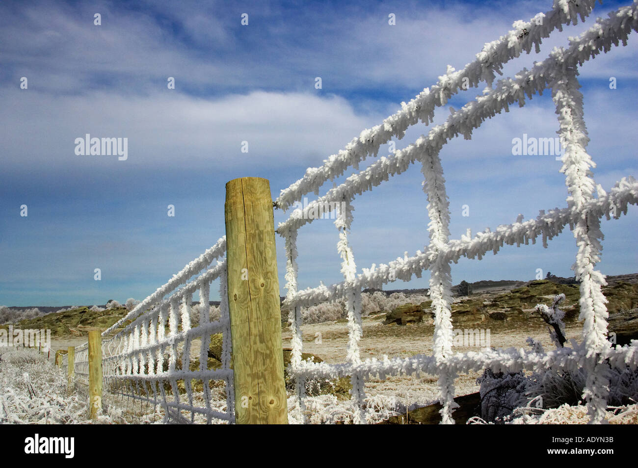 Frosty Wire Fence Sutton Otago South Island New Zealand Stock Photo - Alamy