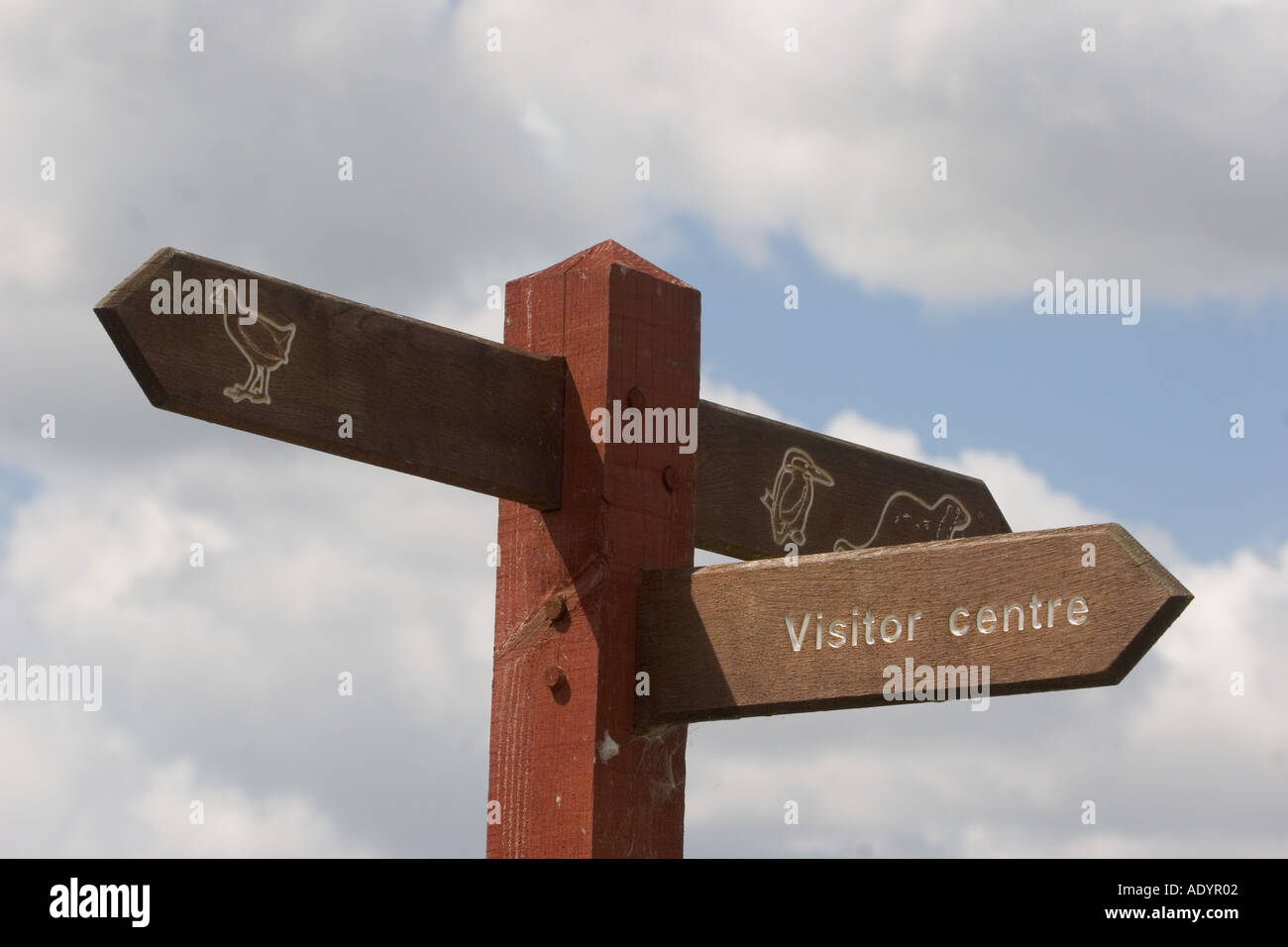 Rspb visitors centre hi-res stock photography and images - Alamy