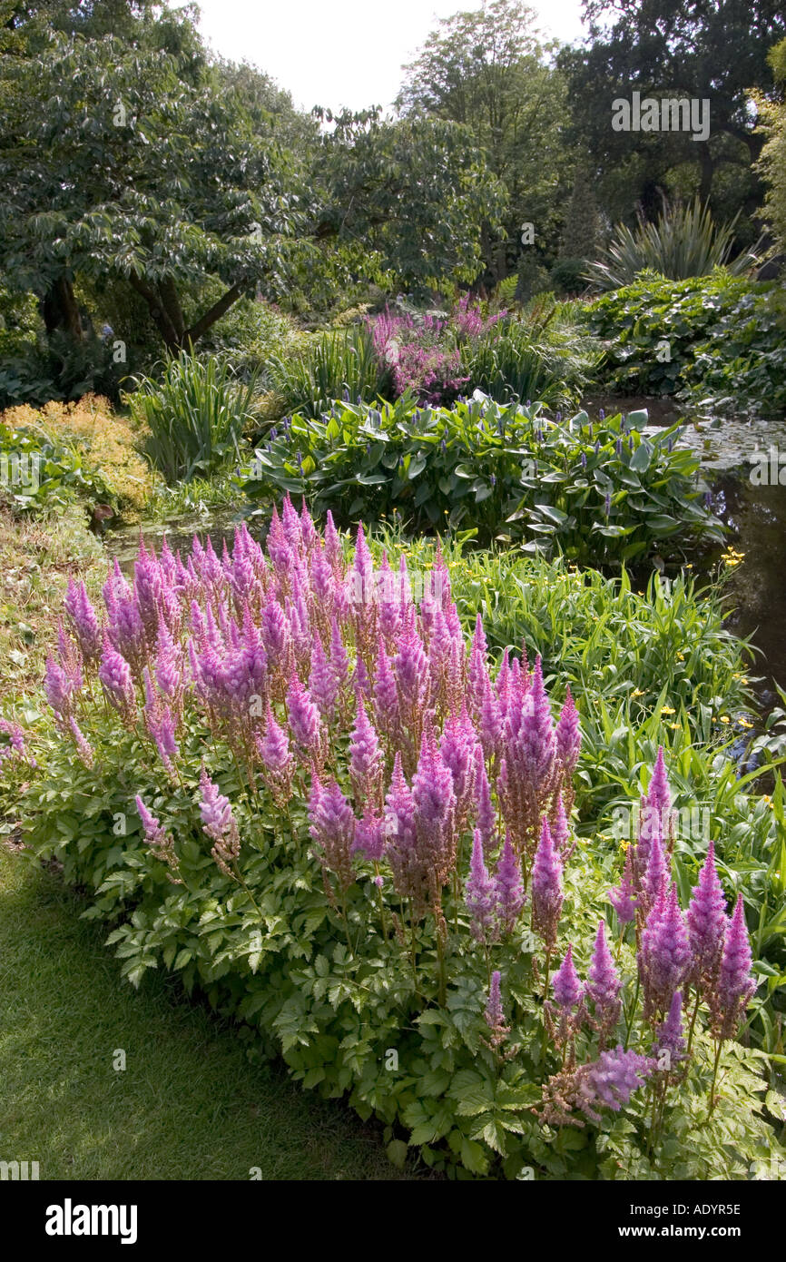 The Beth Chatto Gardens Elmstead Market near Colchester Essex Stock ...