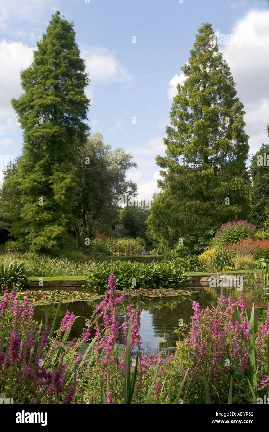 Beth gardens elmstead market near hi-res stock photography and images ...