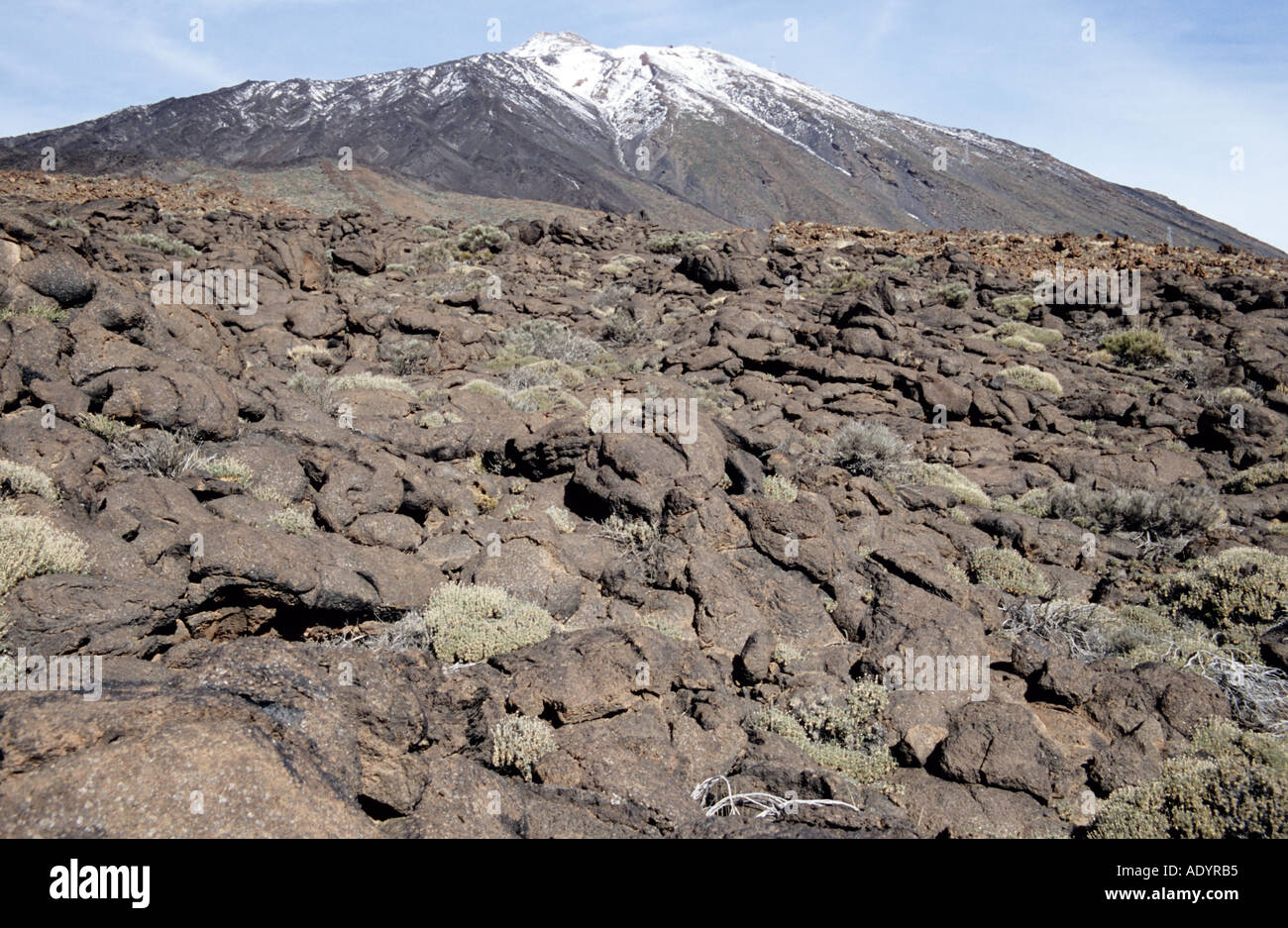 Pumice as ground cover hi-res stock photography and images - Alamy
