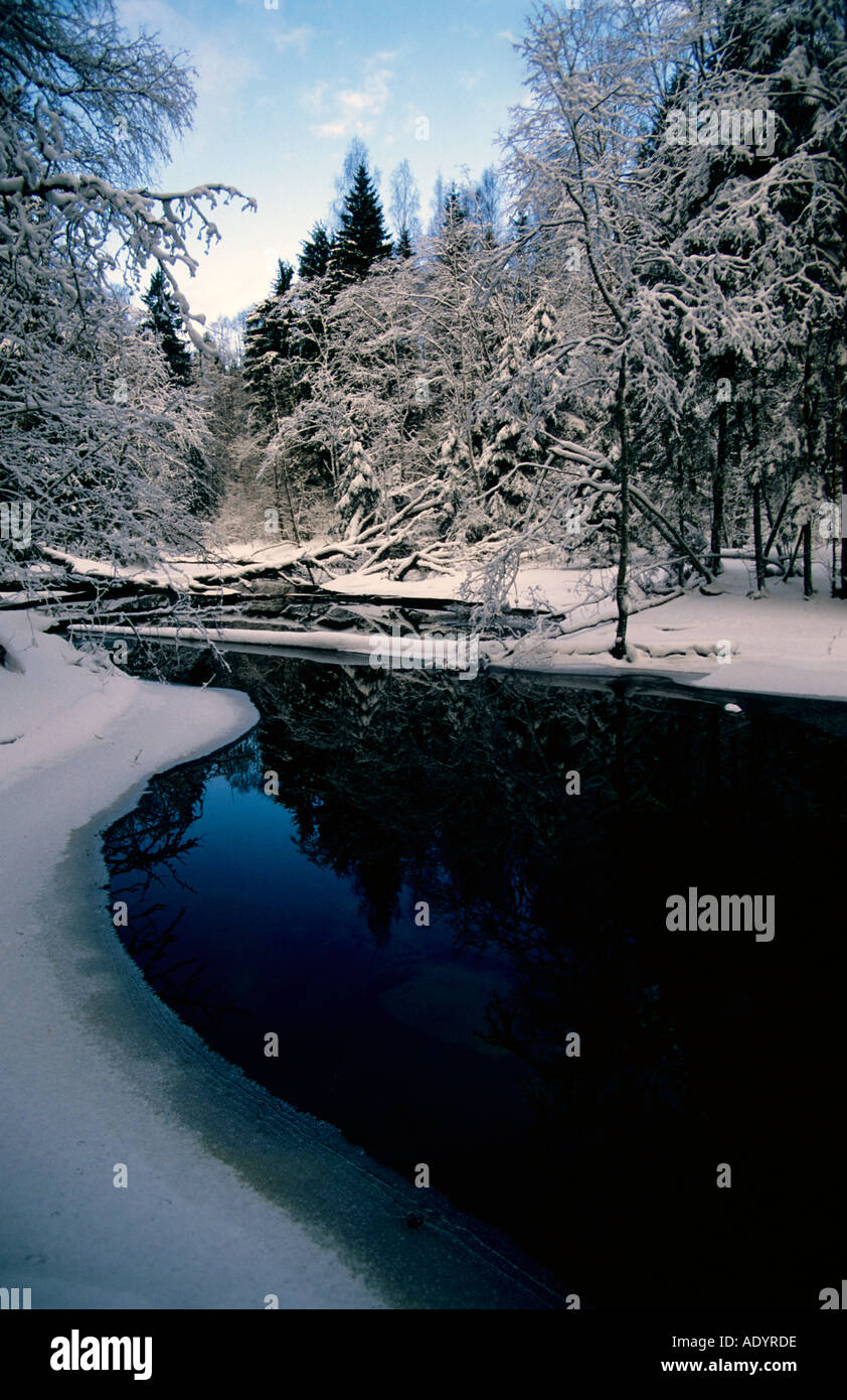 Scenic of Pirita river near Siniallikad Kose Uuemoisa Estonia Europe ...