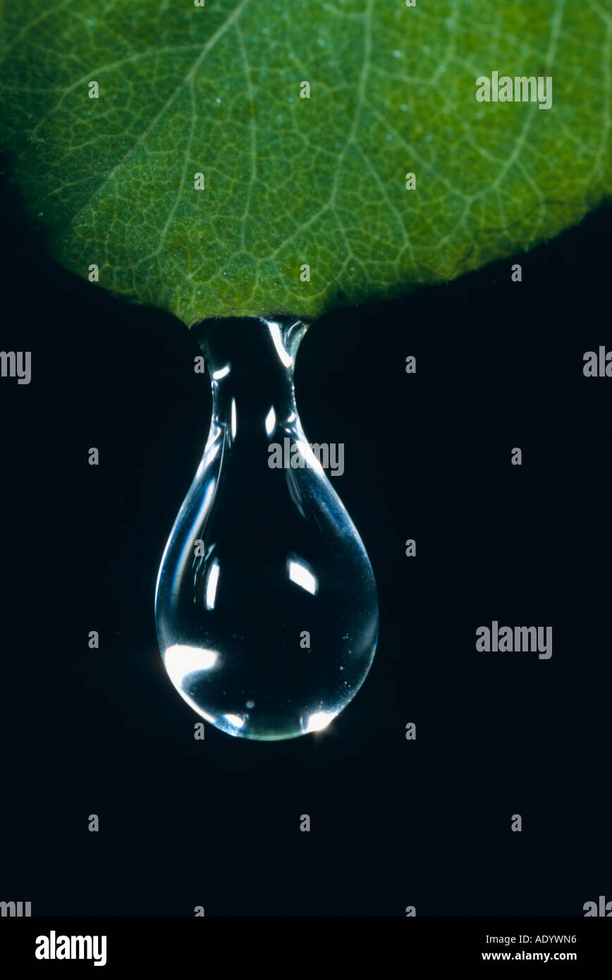 Upright drop hi-res stock photography and images - Alamy