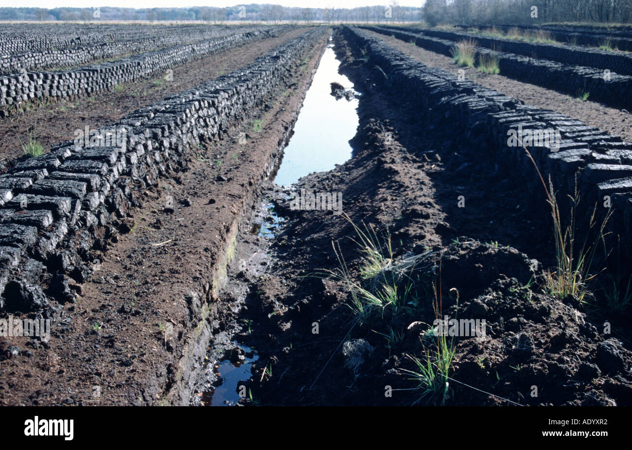 Torfstich hi-res stock photography and images - Alamy