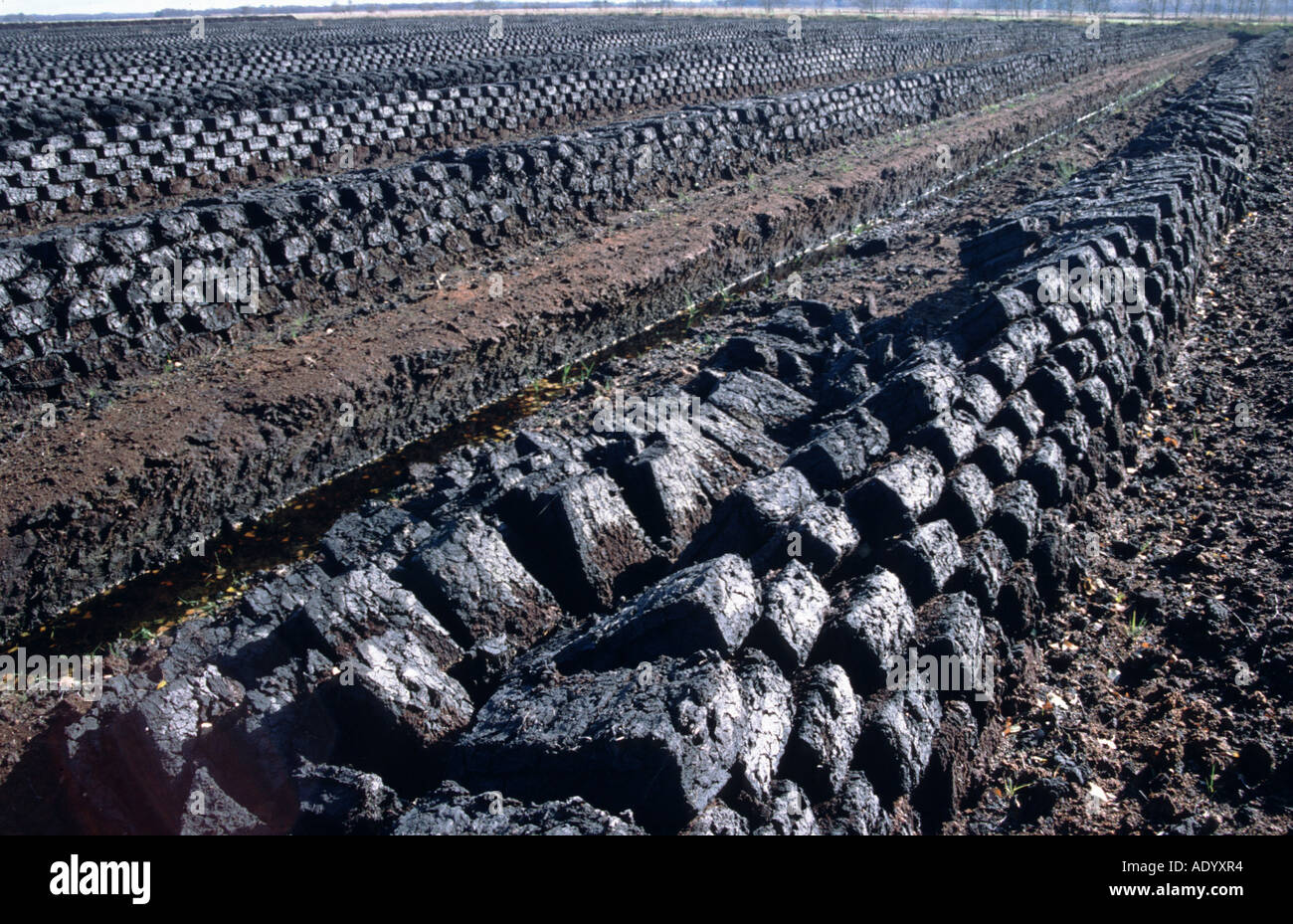 Torfstich hi-res stock photography and images - Alamy