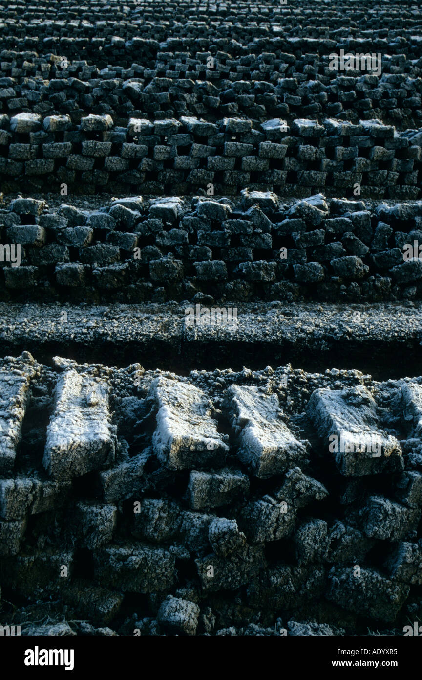 turf production, torfabbau Stock Photo - Alamy