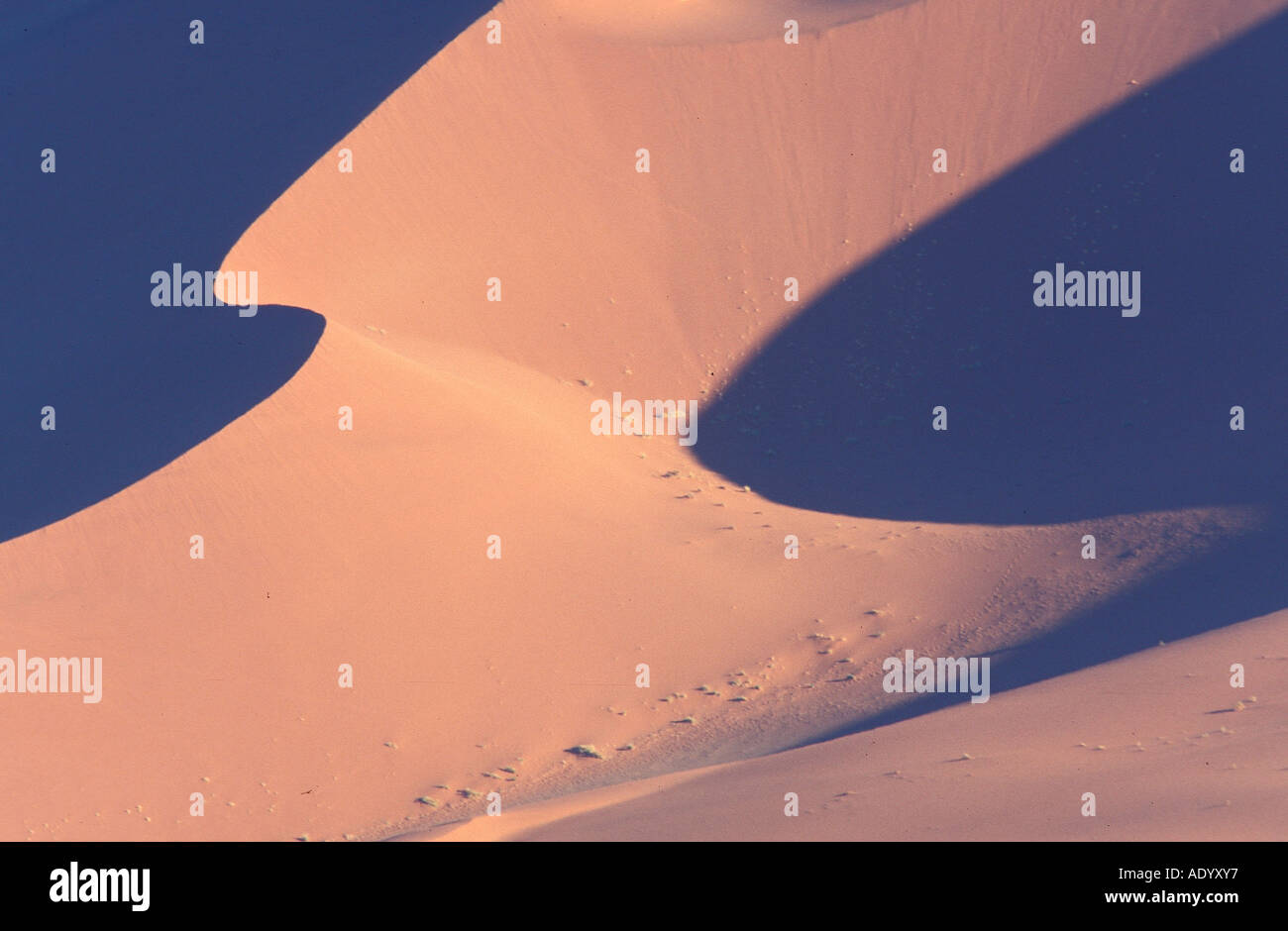 Namibia namib desert sand Stock Photo - Alamy