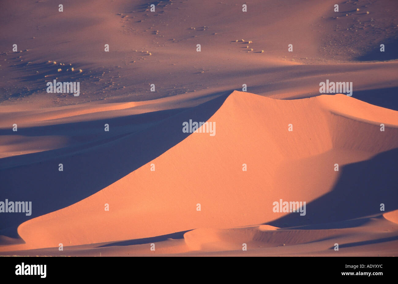 Namibia namib desert sand Stock Photo - Alamy