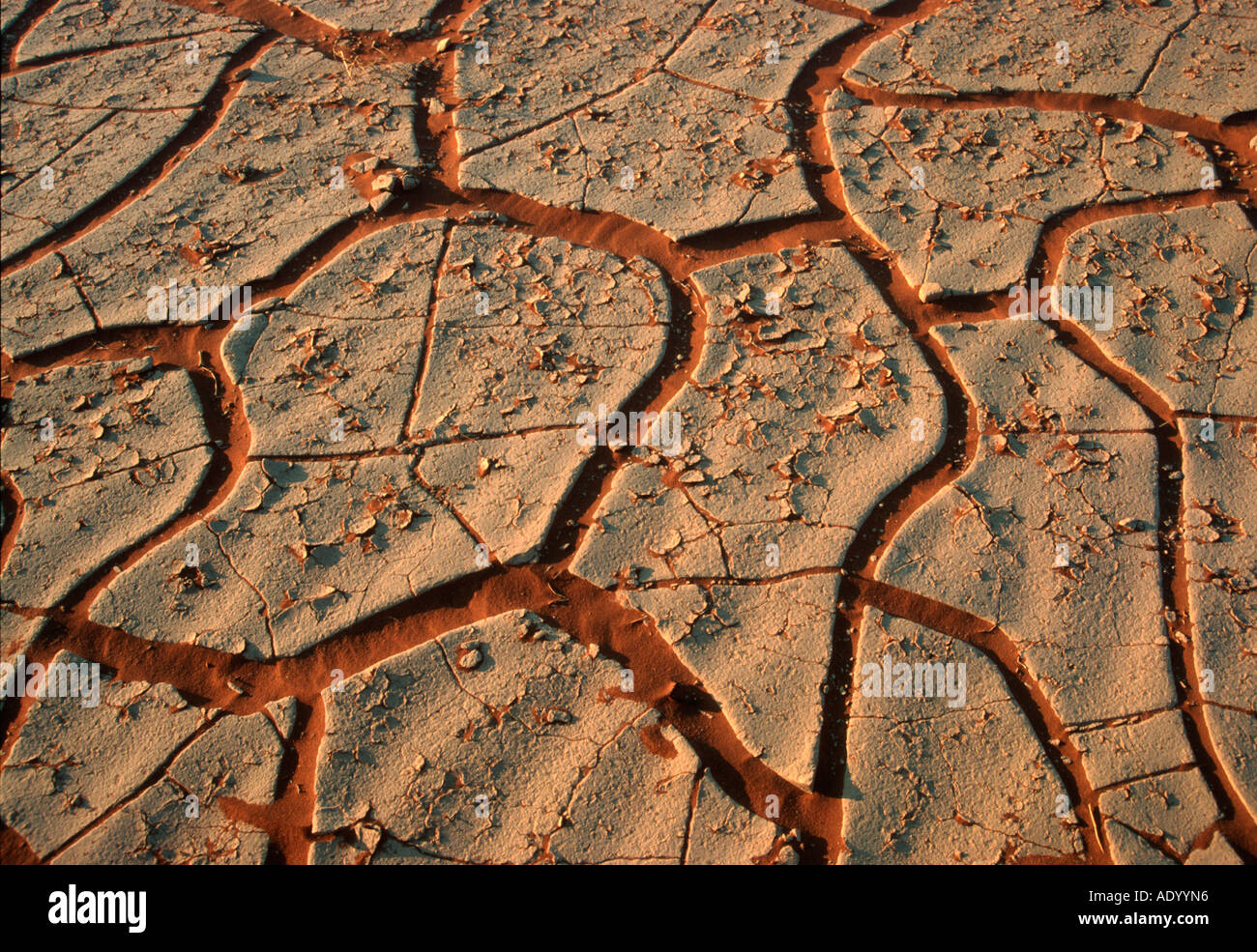 Doerre High Resolution Stock Photography and Images - Alamy