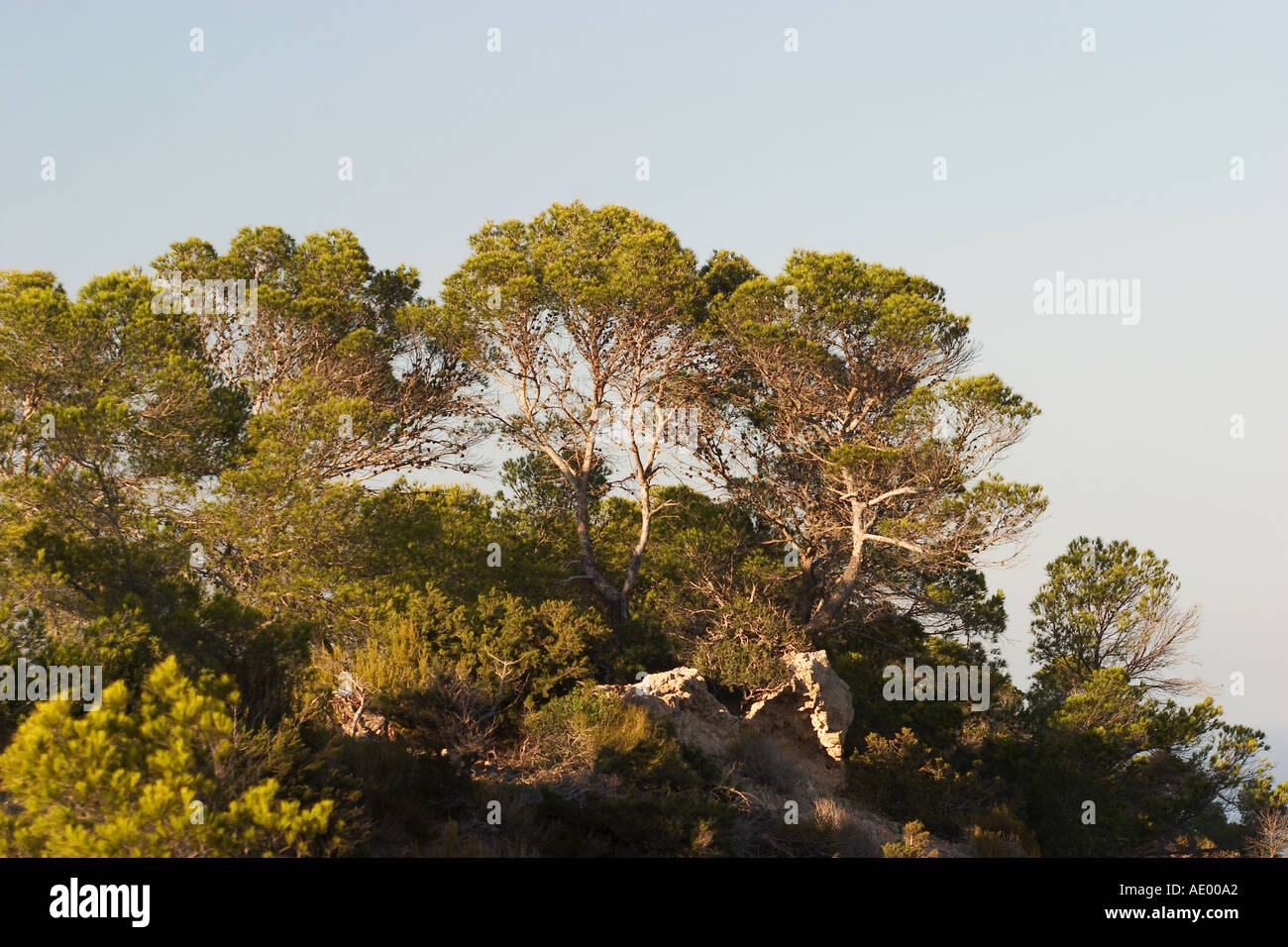 Punta grossa ibiza hi-res stock photography and images - Alamy