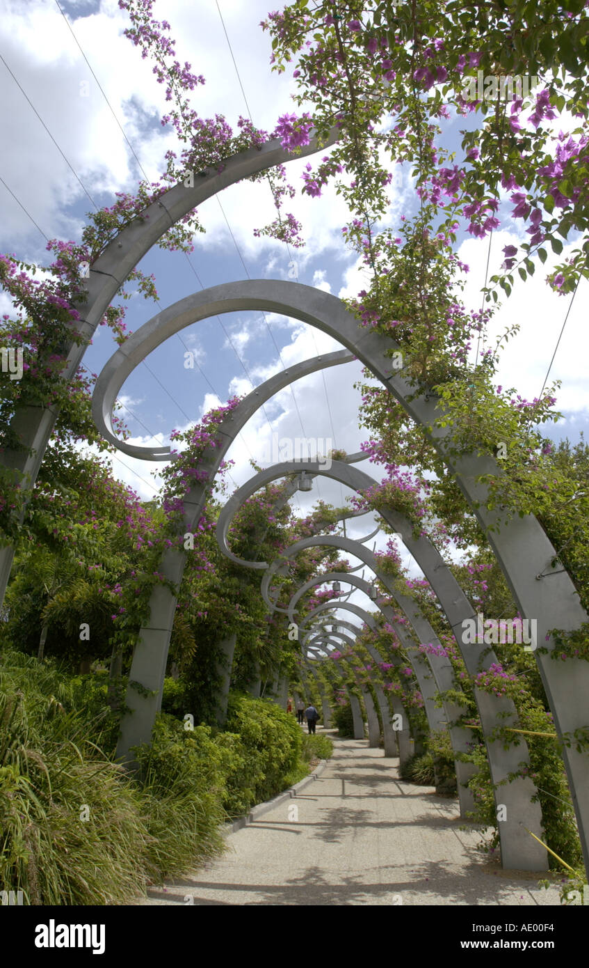 Flower covered walkway in Botanical Gardens in Brisbane, Australia ...