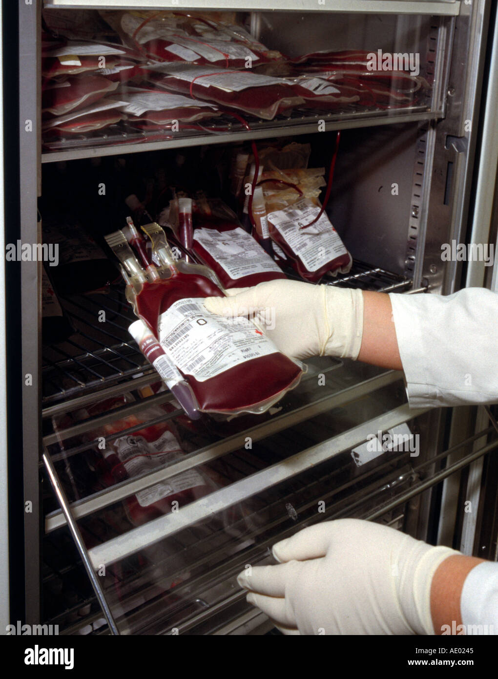 Blood conserves in a refrigerator Stock Photo - Alamy