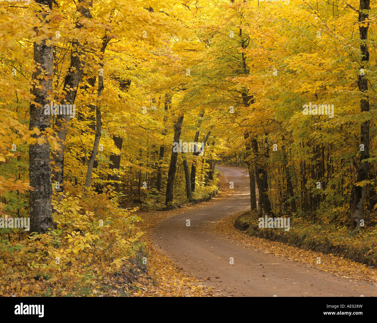 Michigan mcphoto hi-res stock photography and images - Alamy
