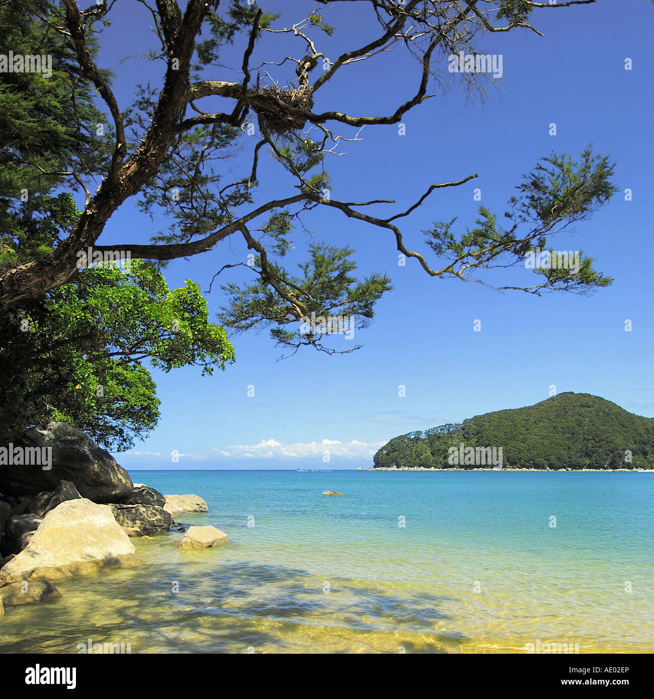 Bark Bay at the Abel Tasman National Park, New Zealand, Southern Island ...
