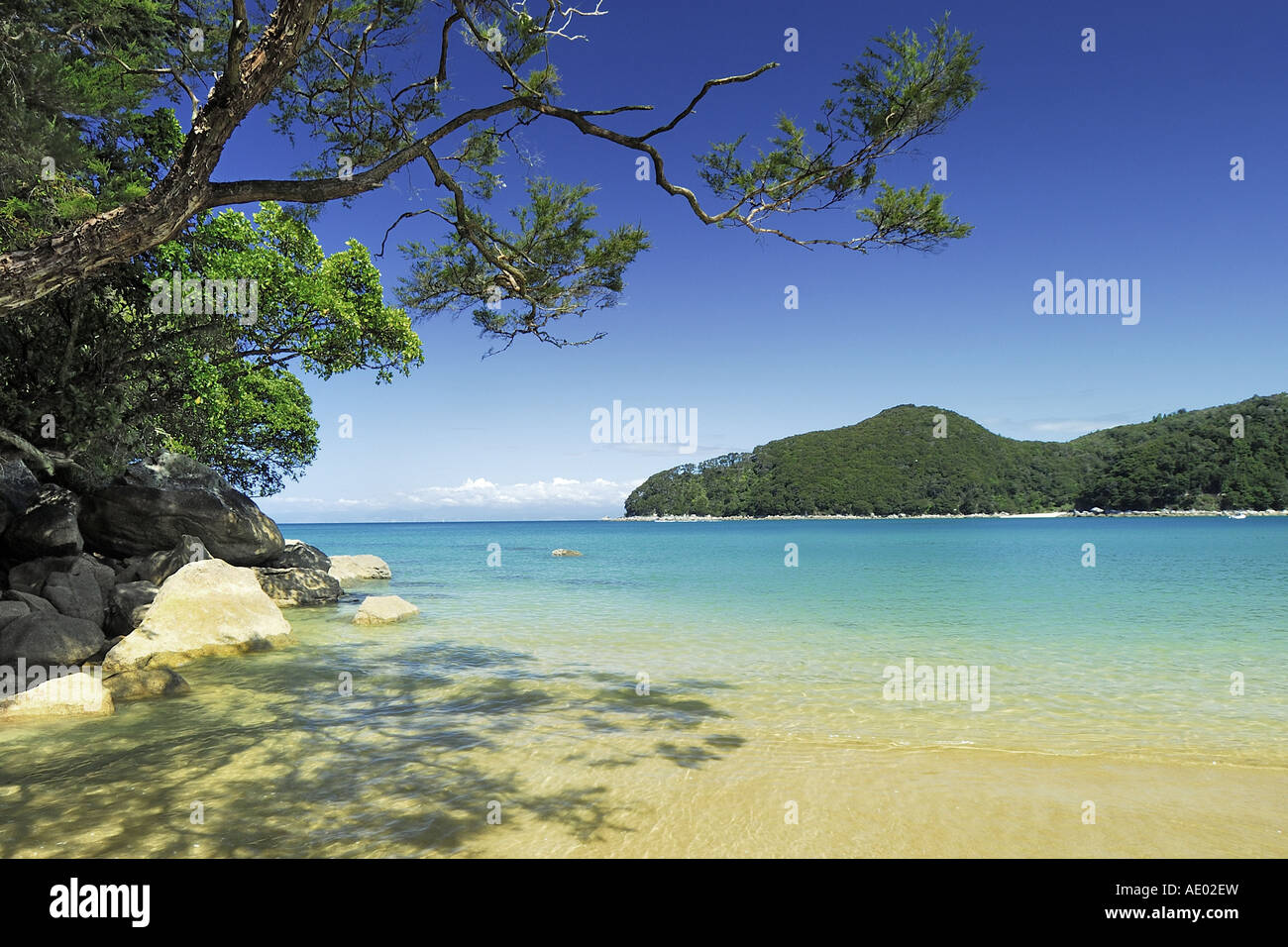 Bark Bay at the Abel Tasman National Park, New Zealand, Southern Island ...