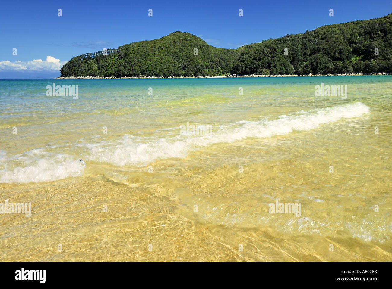 Bark Bay at the Abel Tasman National Park, New Zealand, Southern Island ...