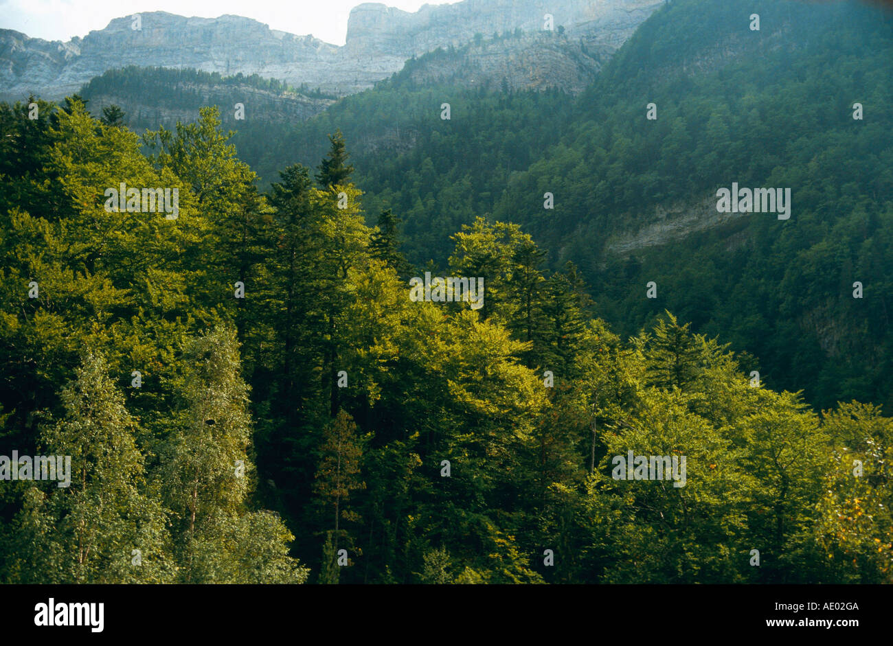 Pyrenaeen nationalpark hi-res stock photography and images - Alamy