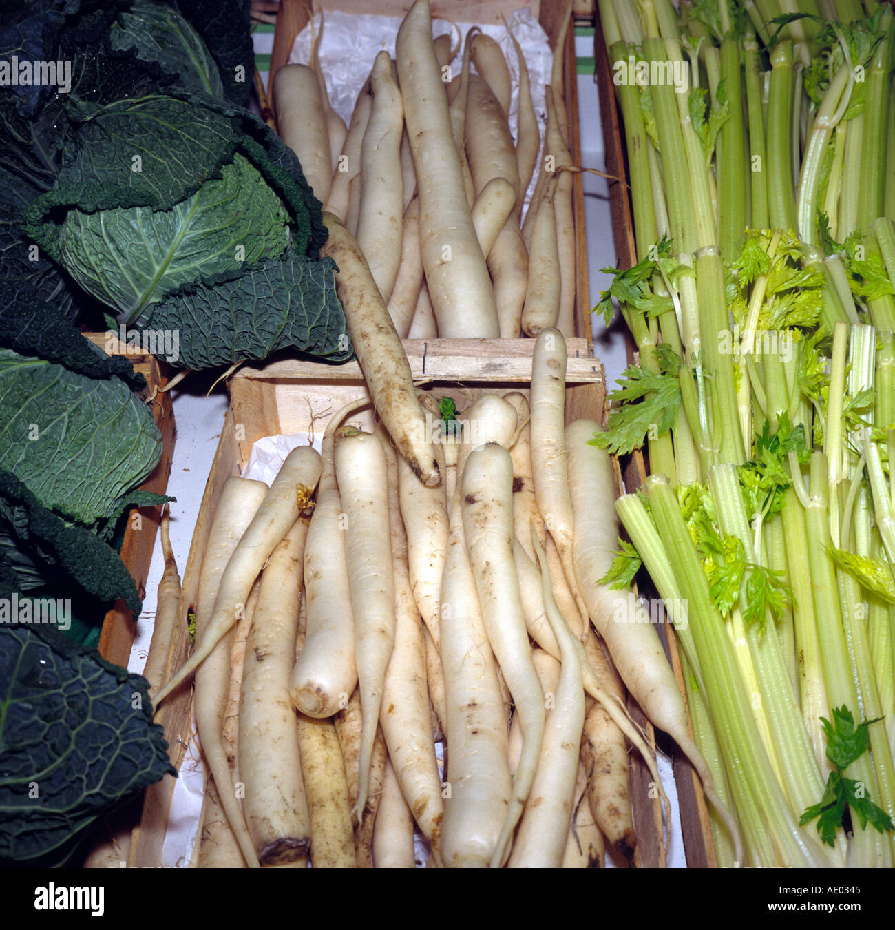 Savoy cabbage and radish hi-res stock photography and images - Alamy