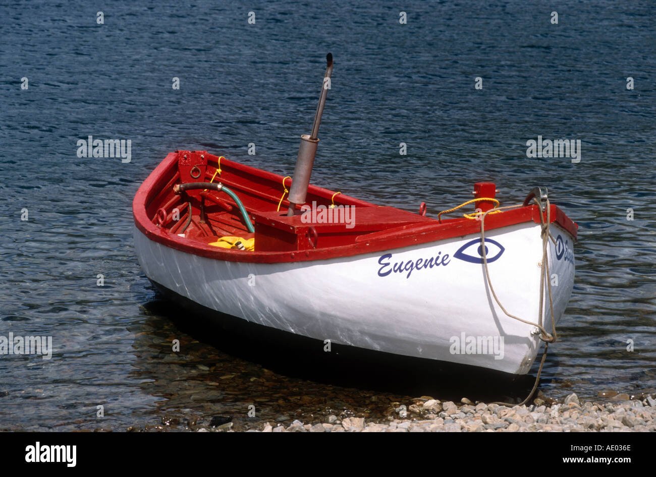 An Italian crayfish Dory in South Island New Zealand Stock Photo - Alamy