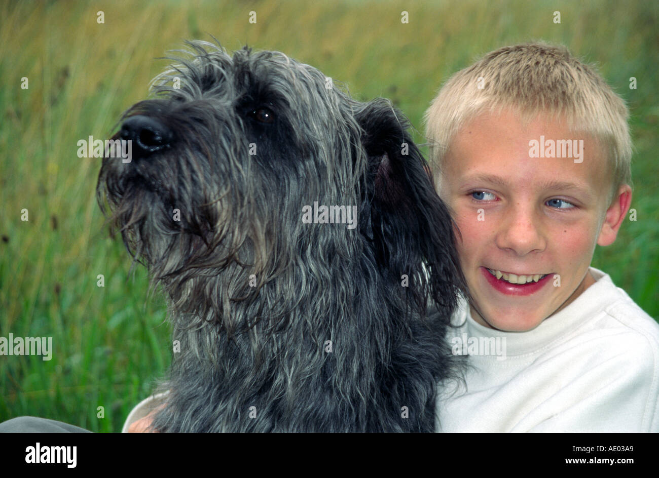 happy boy with dog Stock Photo - Alamy