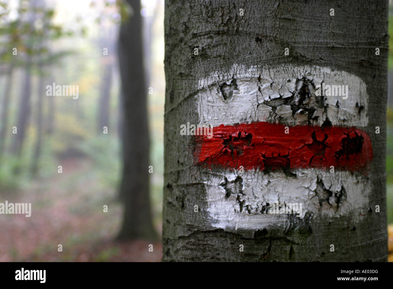 hiking sign, Germany Stock Photo - Alamy