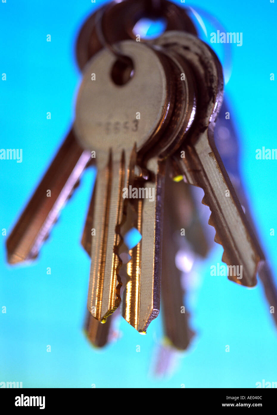 Bunch of keys Stock Photo - Alamy