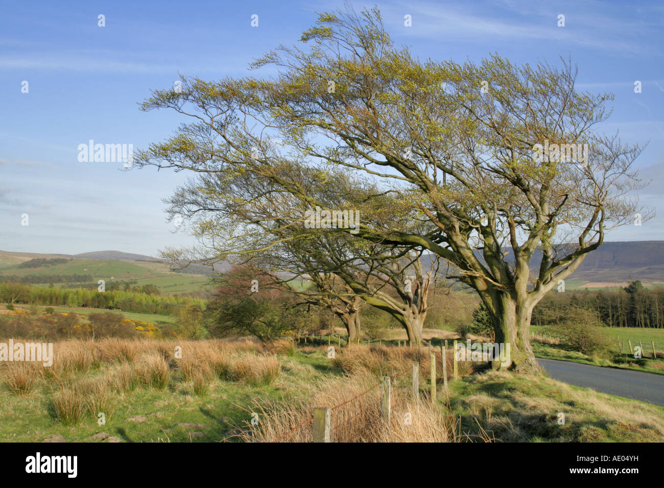 Prevailing hi-res stock photography and images - Alamy