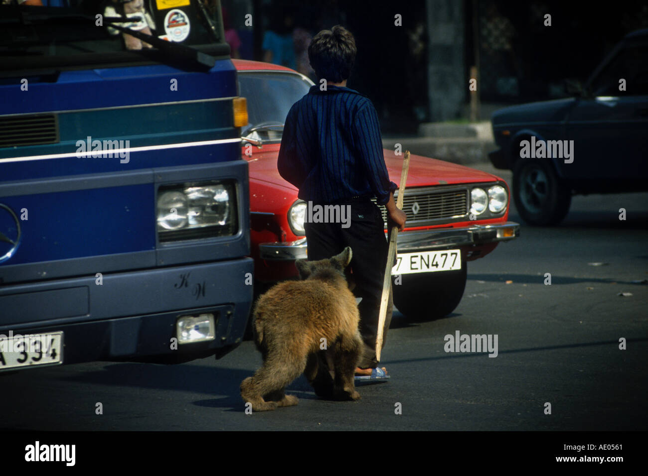 Istanbul turkey dancing bear hi-res stock photography and images - Alamy