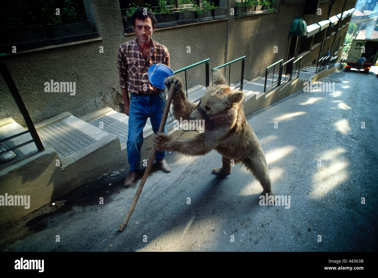 Istanbul turkey dancing bear hi-res stock photography and images - Alamy