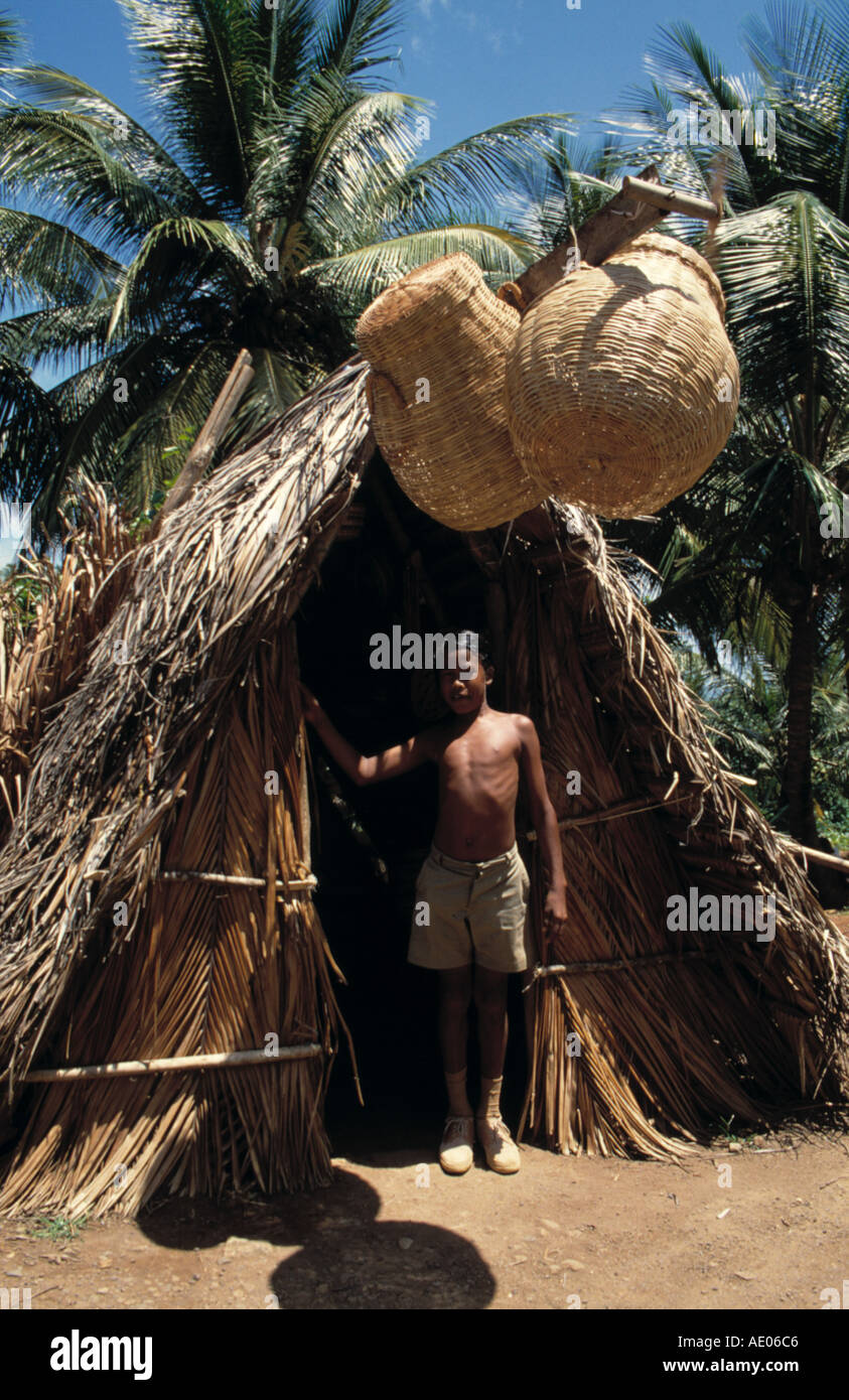 Dominica A traditional Indian hut in the Caribbean Reservation Stock ...
