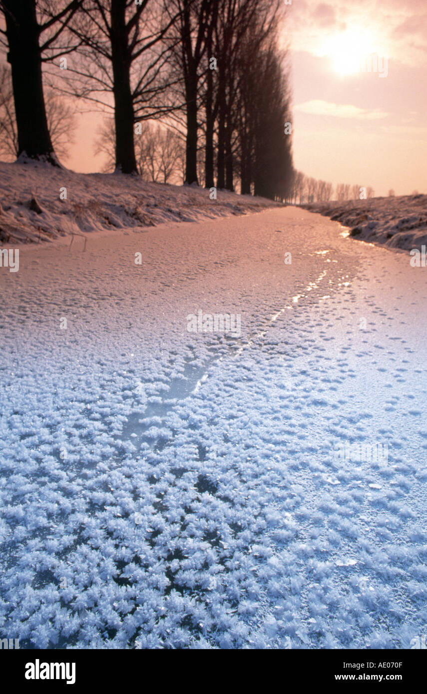 ice crystals on a frozen brook Stock Photo - Alamy