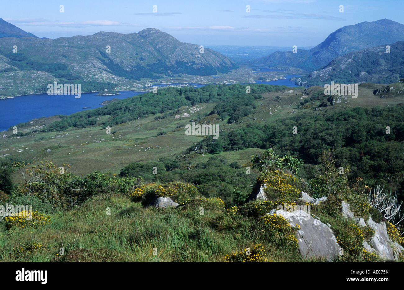Killarney National Park Ladies View Lake County Kerry Ireland Eire ...
