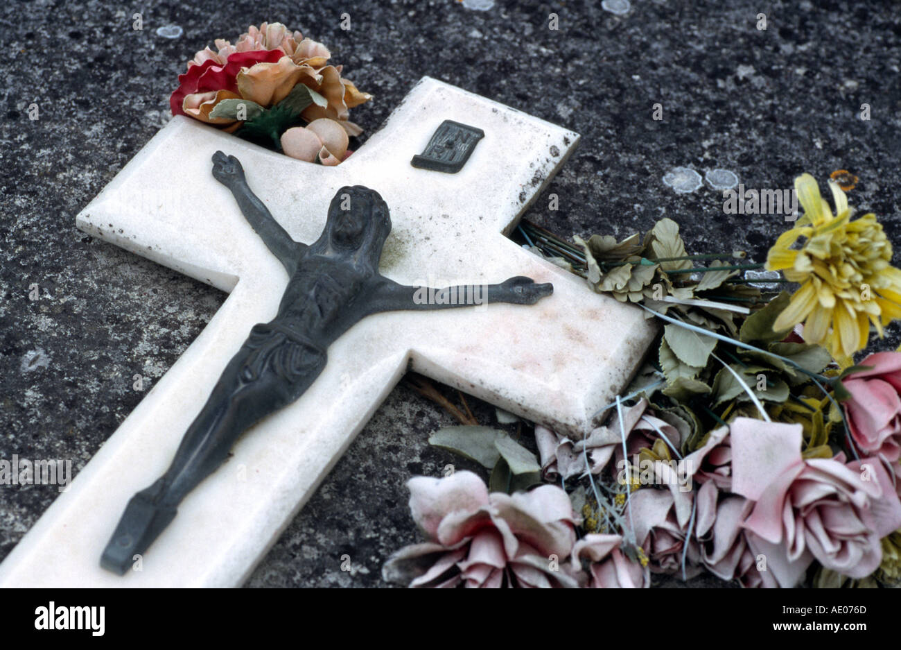 Limp flowers hi-res stock photography and images - Alamy