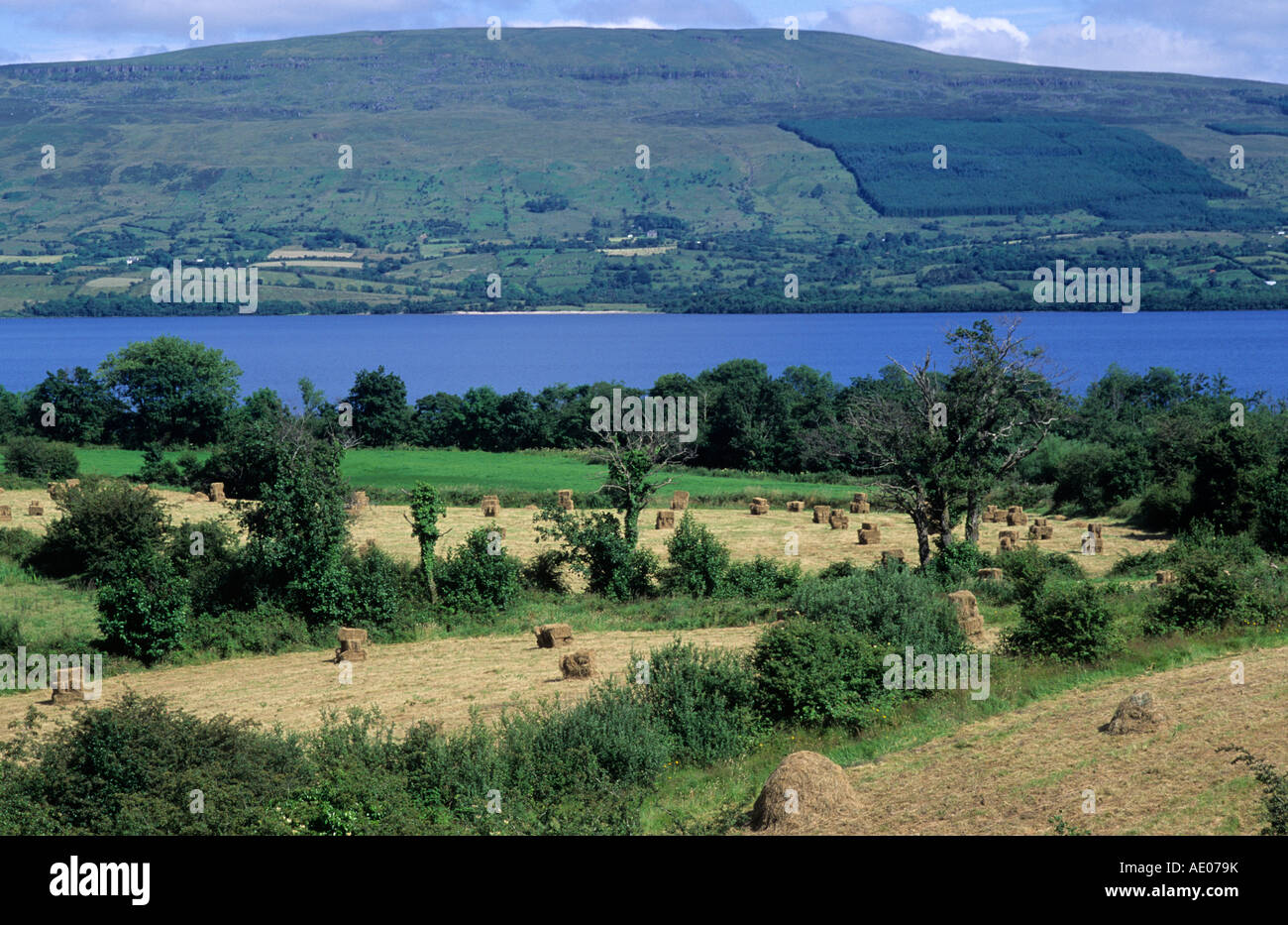 Lough Allen High Resolution Stock Photography and Images - Alamy