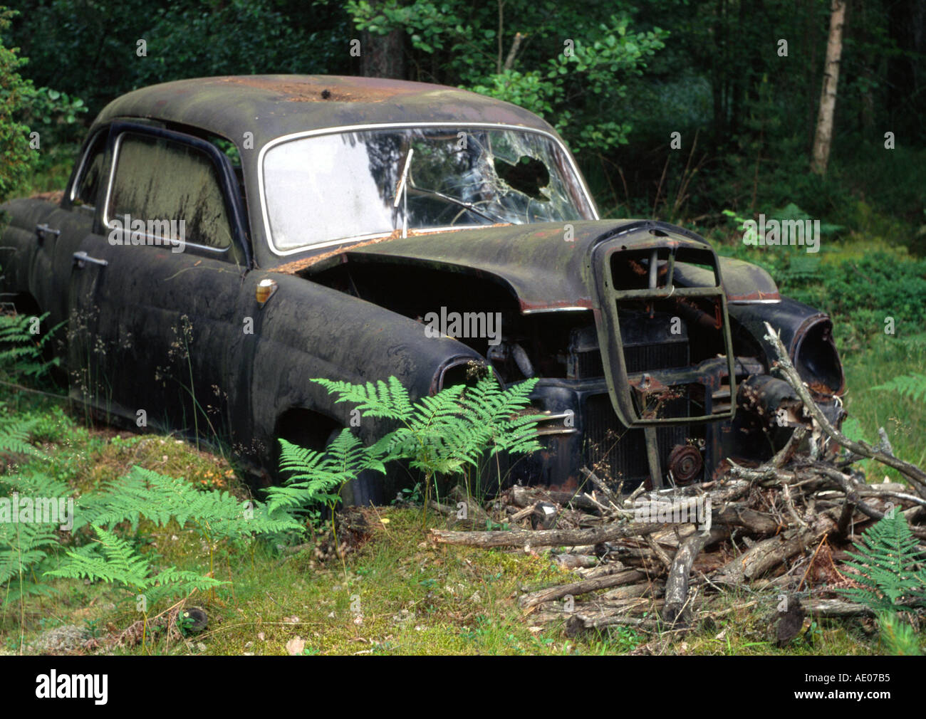 old car in the nature Mercedes Benz Stock Photo - Alamy